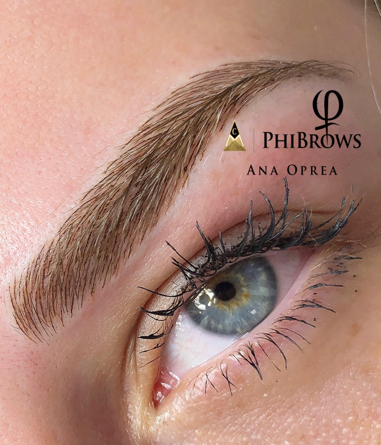 PhiSeller España Keeley Hearn - PhiSeller Spain | PhiBrows ...