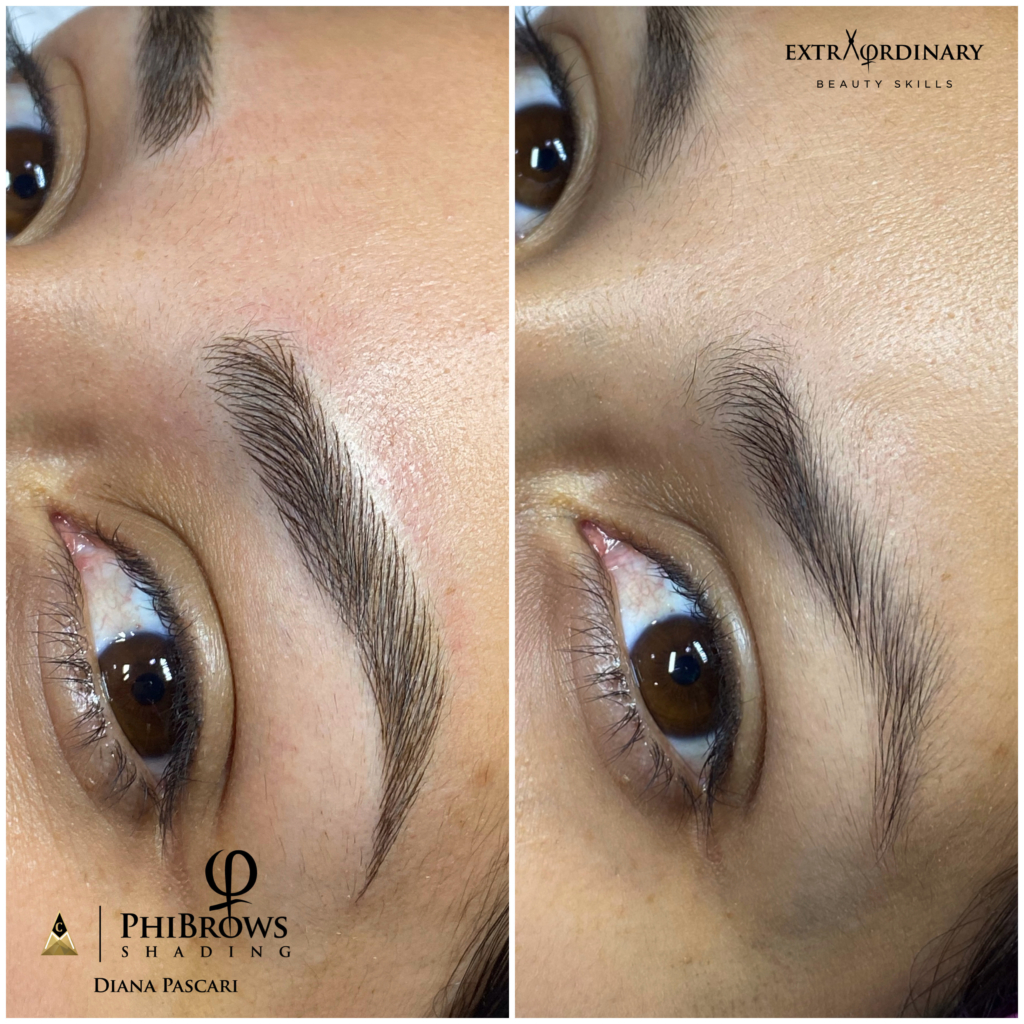 PhiSeller España Keeley Hearn - PhiSeller Spain | PhiBrows Shading y BoldBrows Perfection: Diana ...