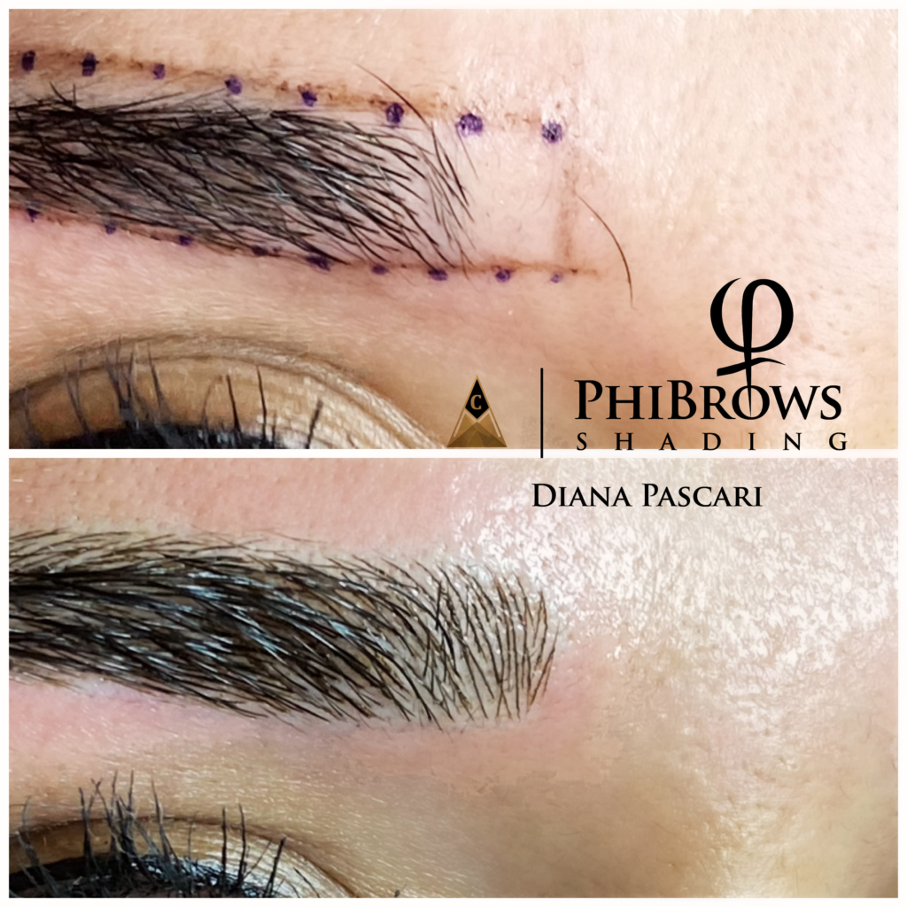 PhiSeller España Keeley Hearn - PhiSeller Spain | PhiBrows Shading y BoldBrows Perfection: Diana ...