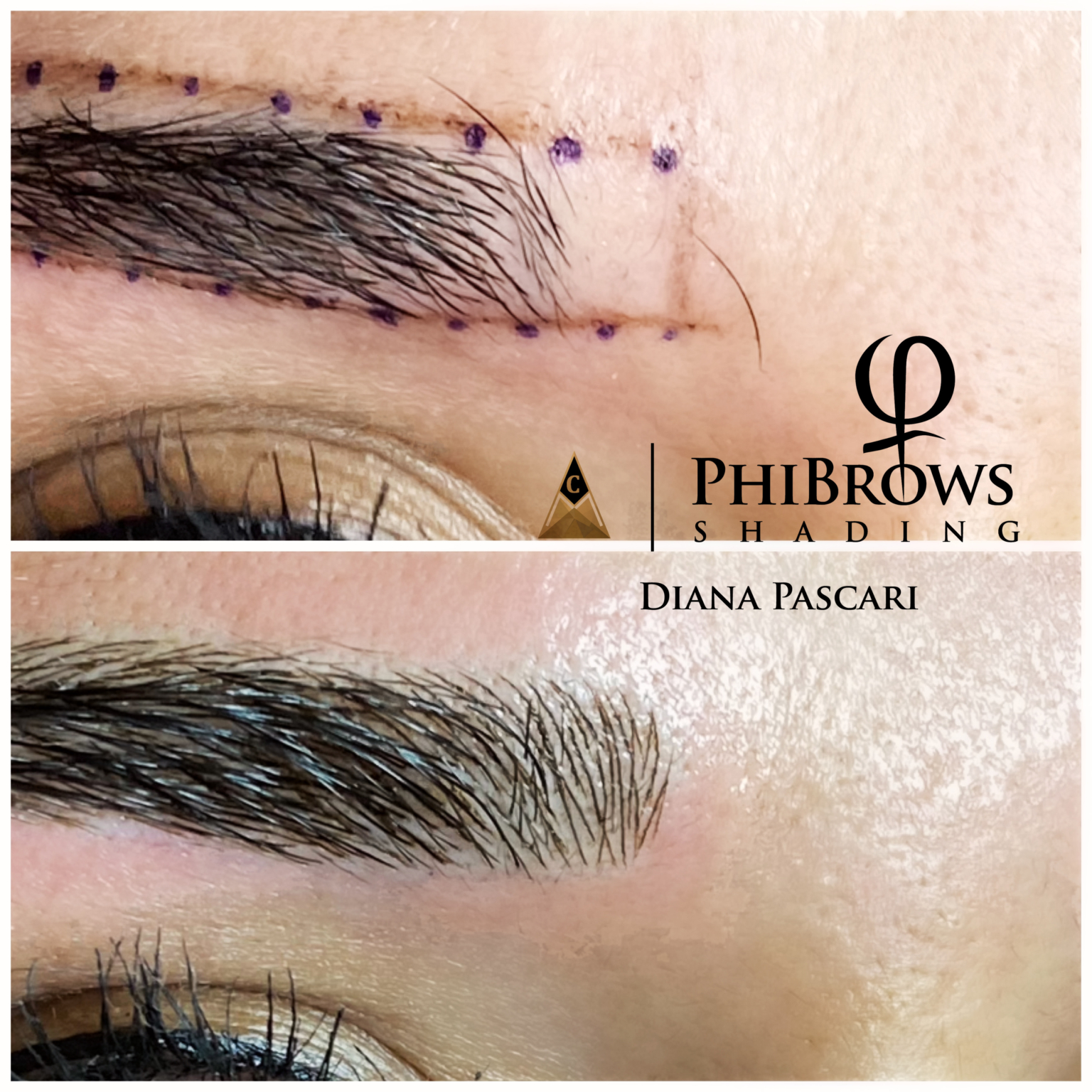PhiSeller España Keeley Hearn - PhiSeller Spain | PhiBrows Shading y ...