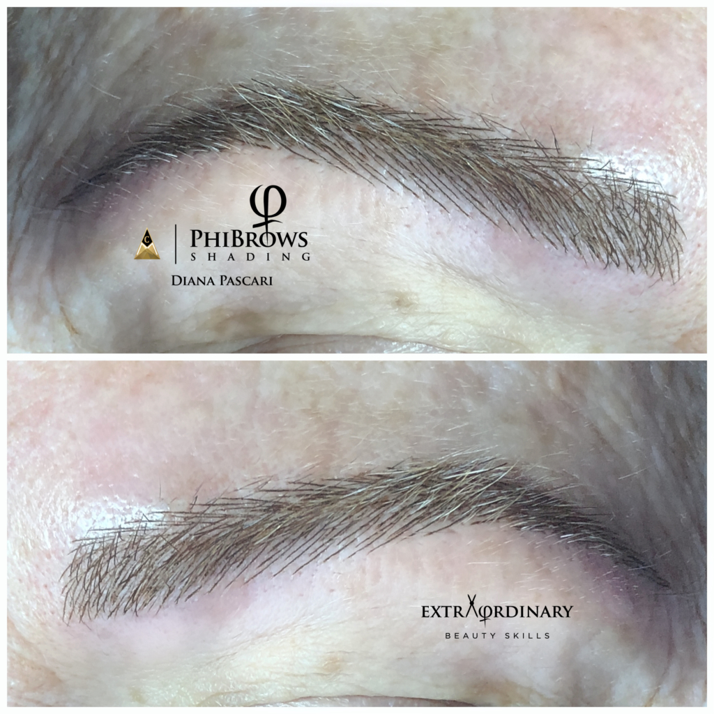 PhiSeller España Keeley Hearn - PhiSeller Spain | PhiBrows Shading y ...